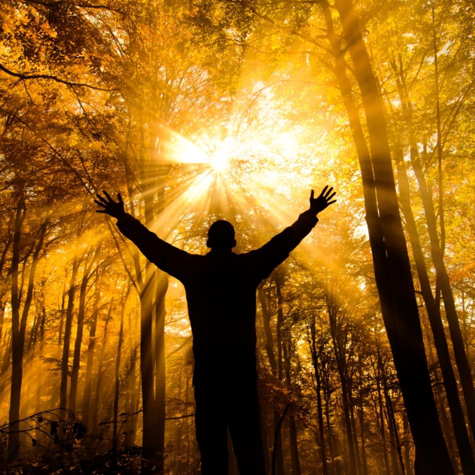 8 Strange Reasons Spiritually Awake People Suffer More Than Normal People
