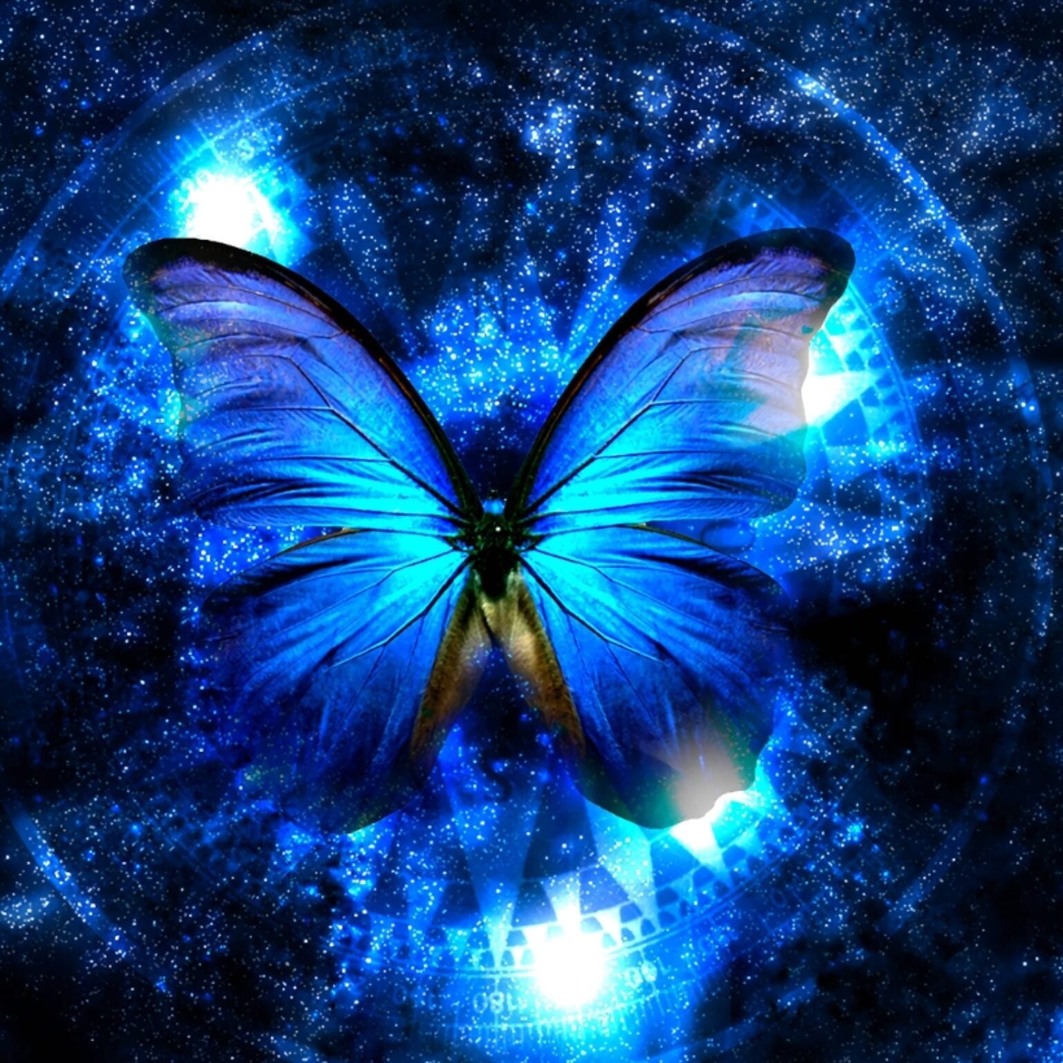 5 Animals That Appear During Your Spiritual Awakening