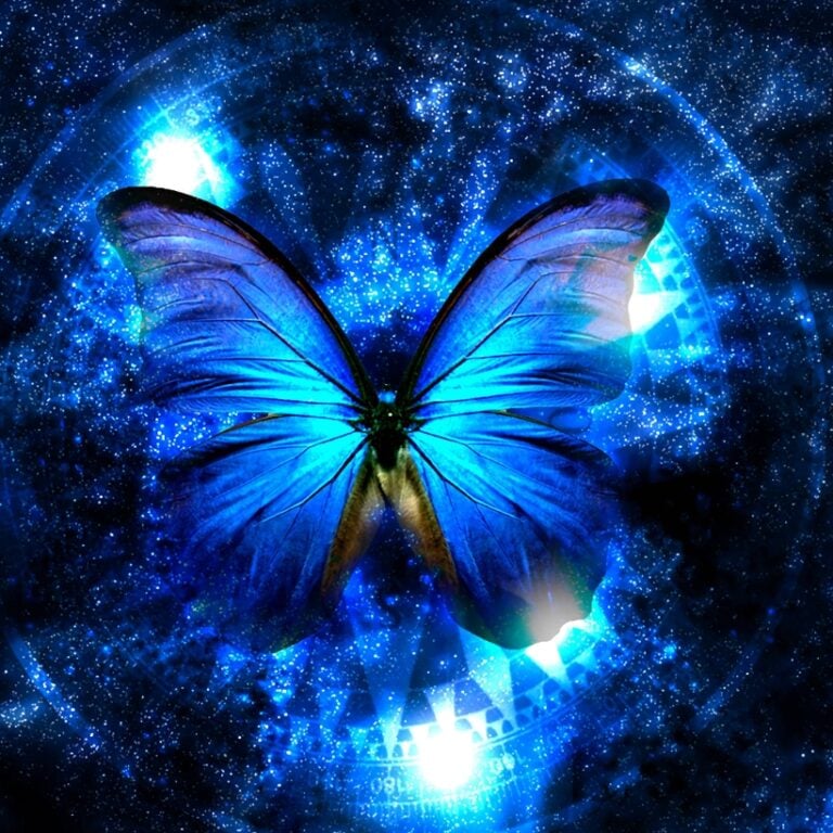 5 Animals That Appear During Your Spiritual Awakening